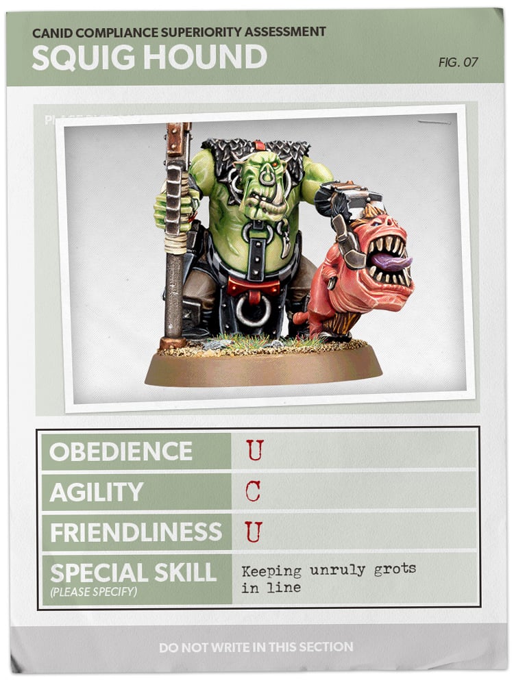 Into the Bark – Warhammer Community Investigates the Best Dogs in ...