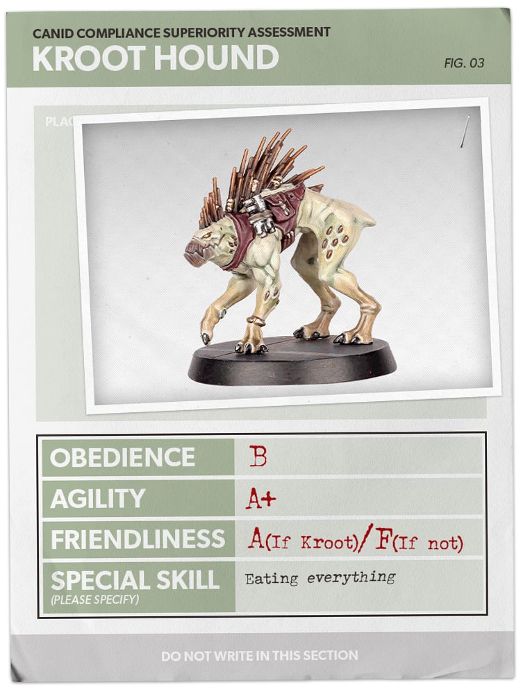 Into the Bark – Warhammer Community Investigates the Best Dogs in ...